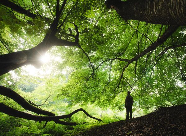 Return to Nature - The Parish of Inch - Kilmaley - Connolly